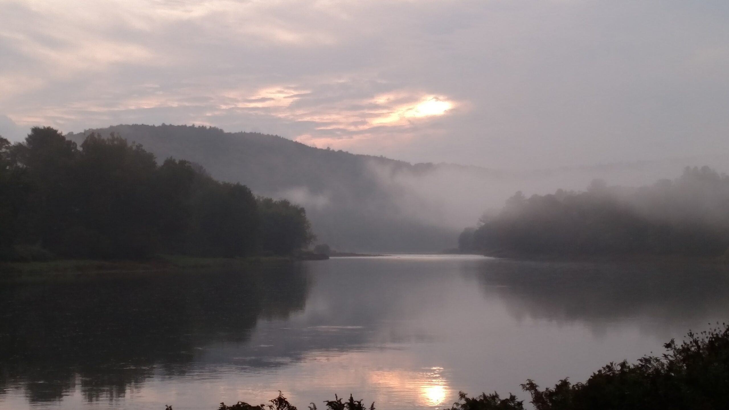 Specialties - Jeremy Frank & Associates