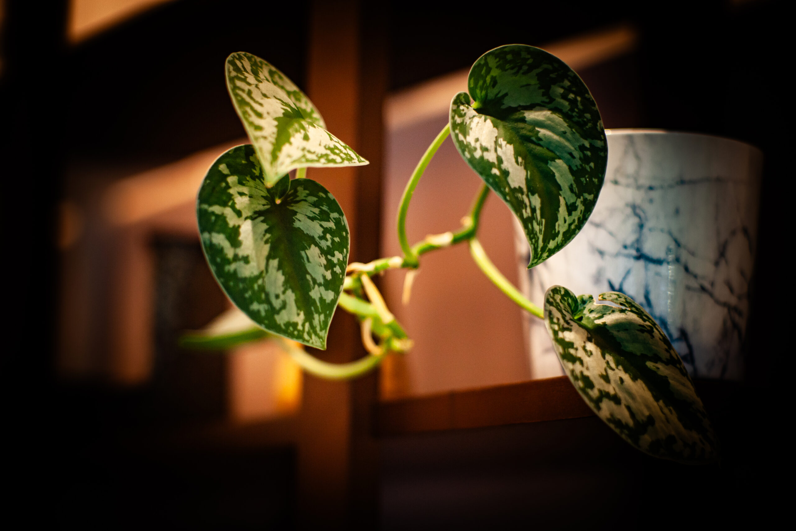 Get Started - Jeremy Frank & Associates